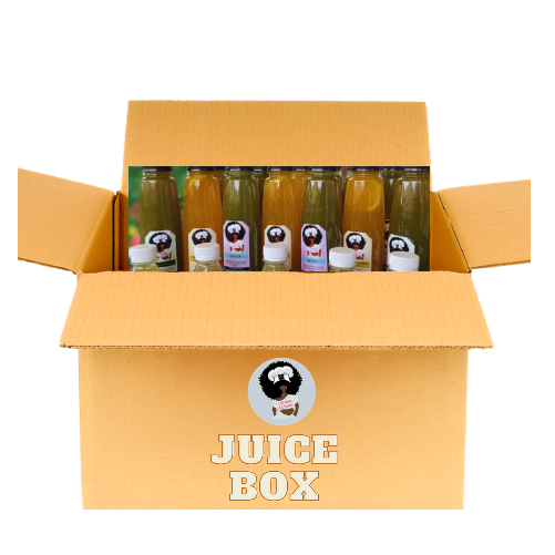 Juice Box Subscription – Lyriah's Kitchen